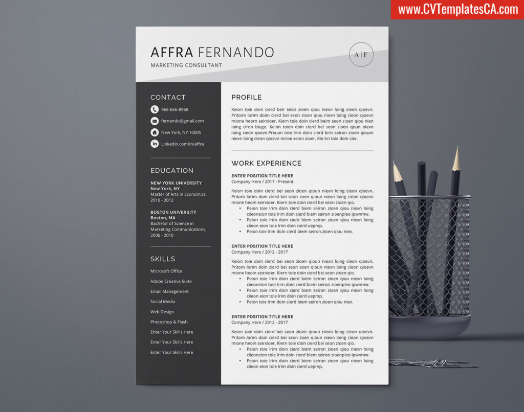 Resume CV Template For Microsoft Word Curriculum Vitae Professional resume-cv-template-for-microsoft-word-curriculum-vitae-professional