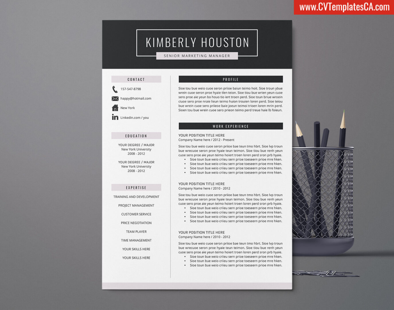 Modern Resume / CV Template for Word, Curriculum Vitae, Professional CV ...