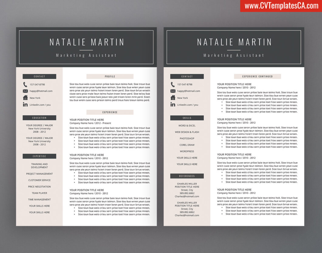 Professional Resume / CV Template Word, Cover Letter, References ...