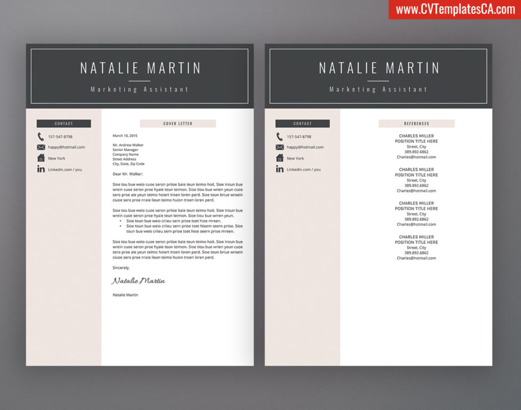 Professional CV Templates / Resume Templates for MS Word, Cover Letter ...