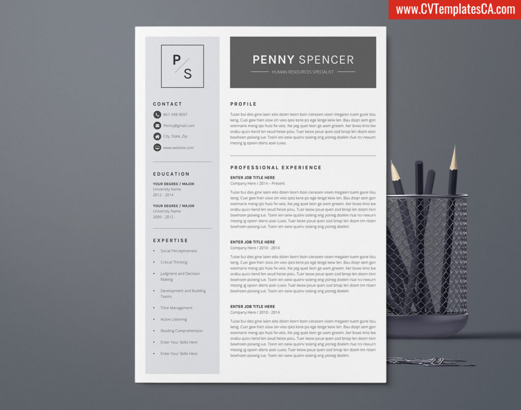 Professional CV Templates / Resume Templates for Microsoft Word ...