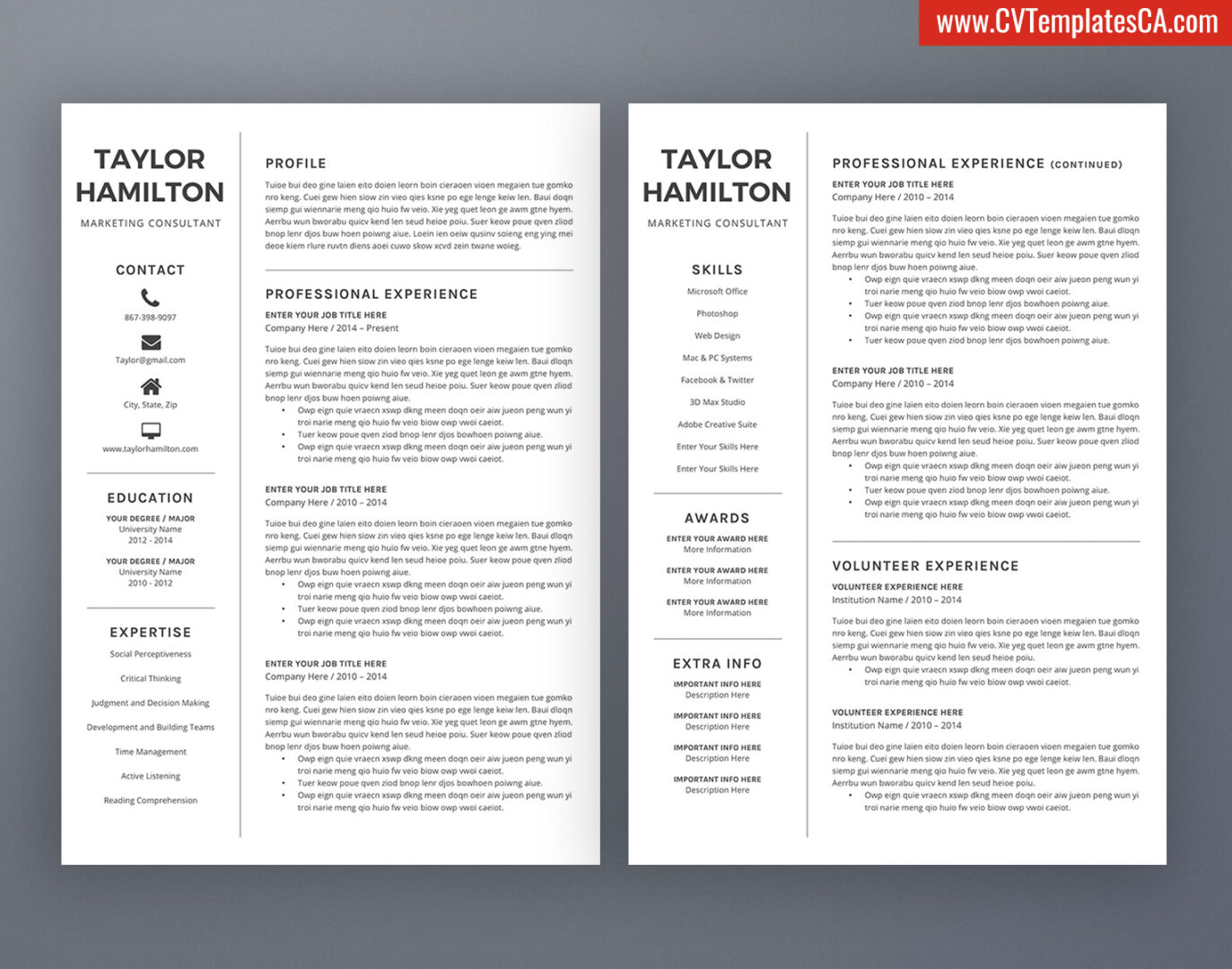 Professional CV Template for Microsoft Word, Curriculum Vitae, Simple ...