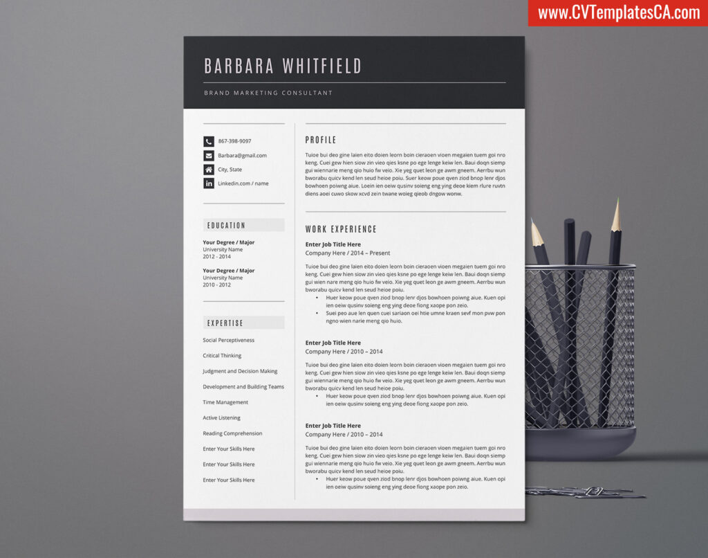 Resume Templates without Photo – CVTemplatesCA.com