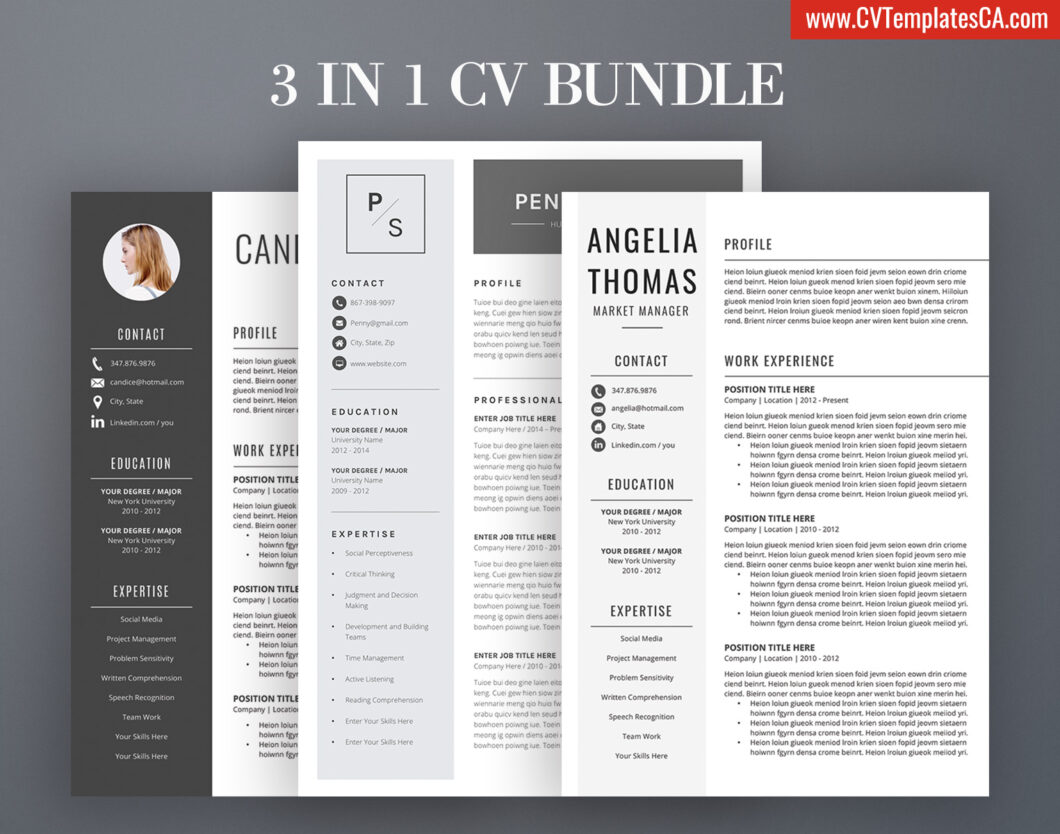 Professional CV Templates / Resume Templates for Microsoft Word ...