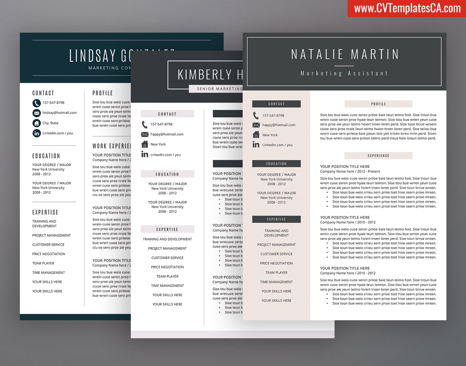 Professional CV Templates / Resume Templates for Microsoft Word ...